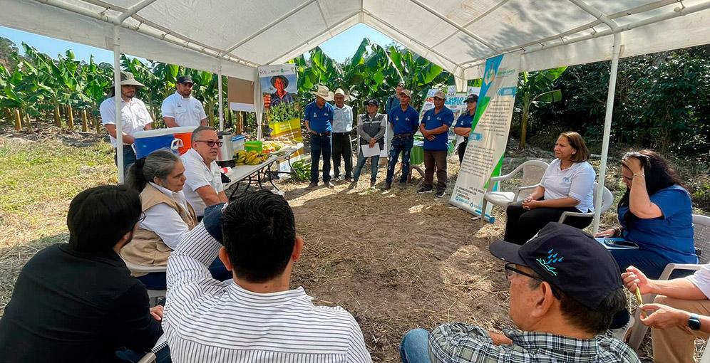 Lanzan en Honduras el Proyecto SoilFER para Optimizar la Productividad ...
